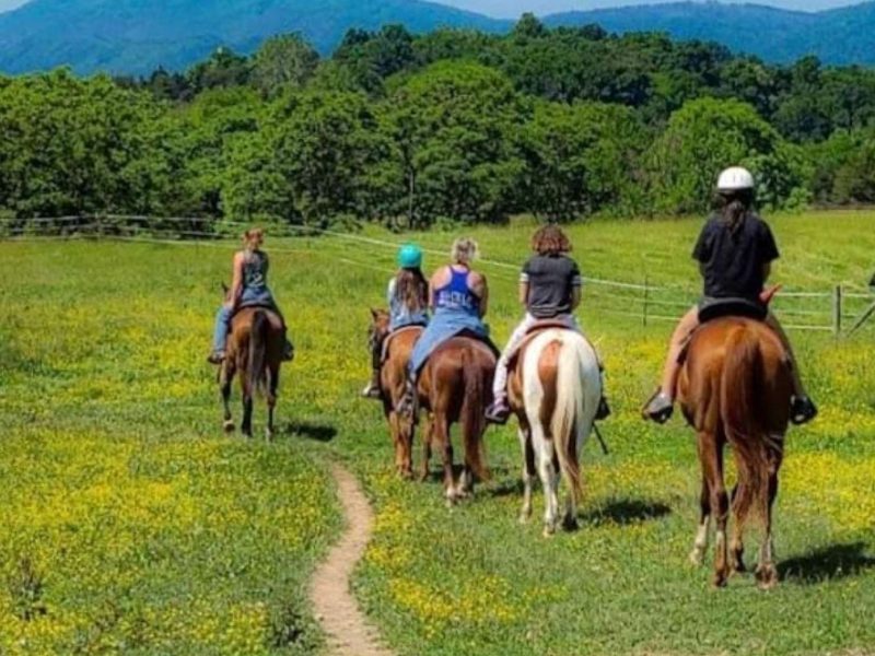 Trail Rides - River's Bend Ranch